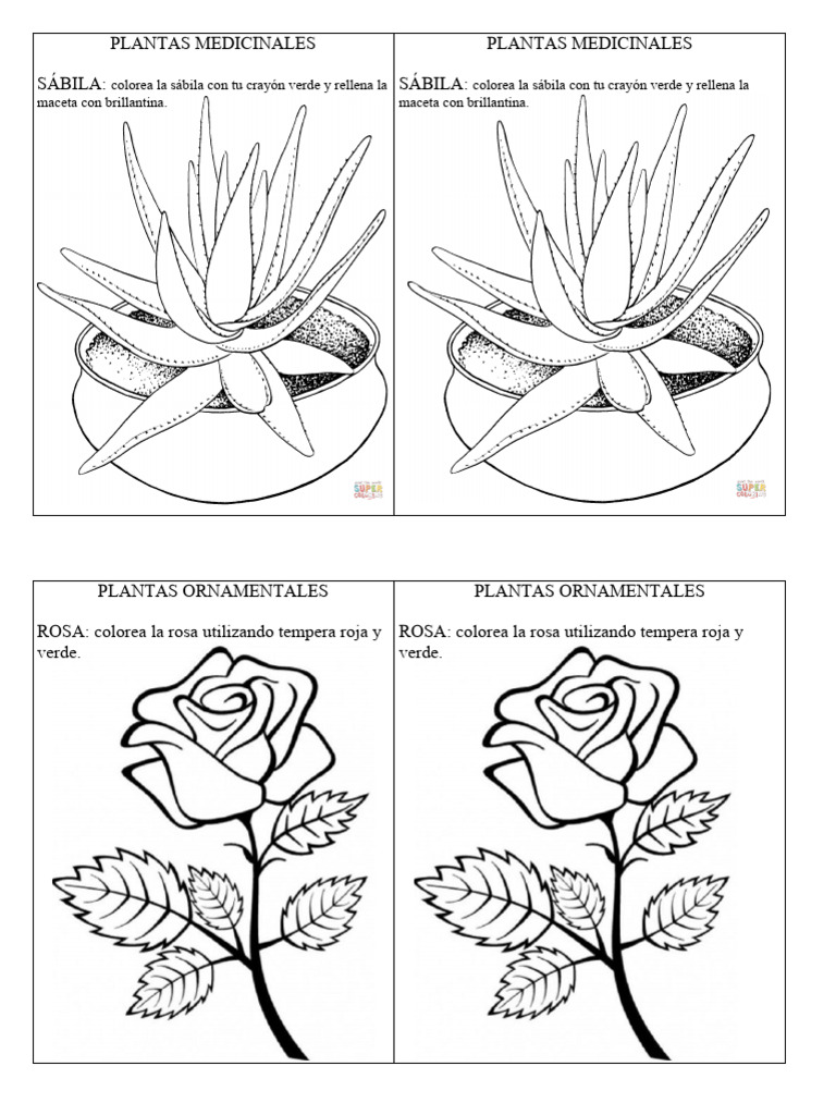 Plantas 2 | PDF | Biología | Organismos