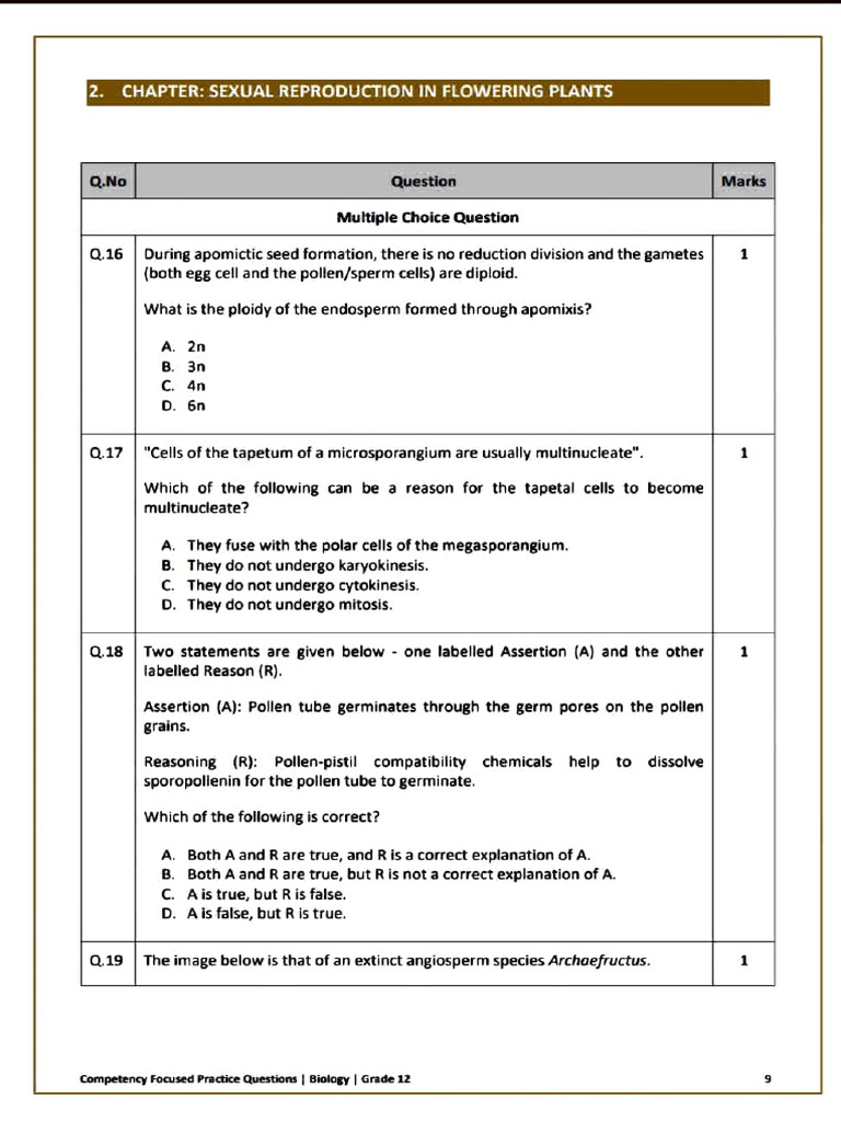 Competency Based Questions CHP 1 To 4 | PDF | Flowers | Fertilisation