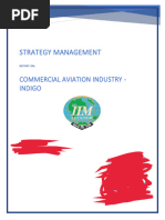 IndiGo Airlines Case Study | PDF