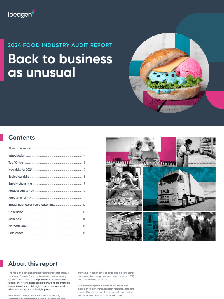 REPORT 2024 Food Industry Audit Report May24 1 | PDF | Inflation | Risk