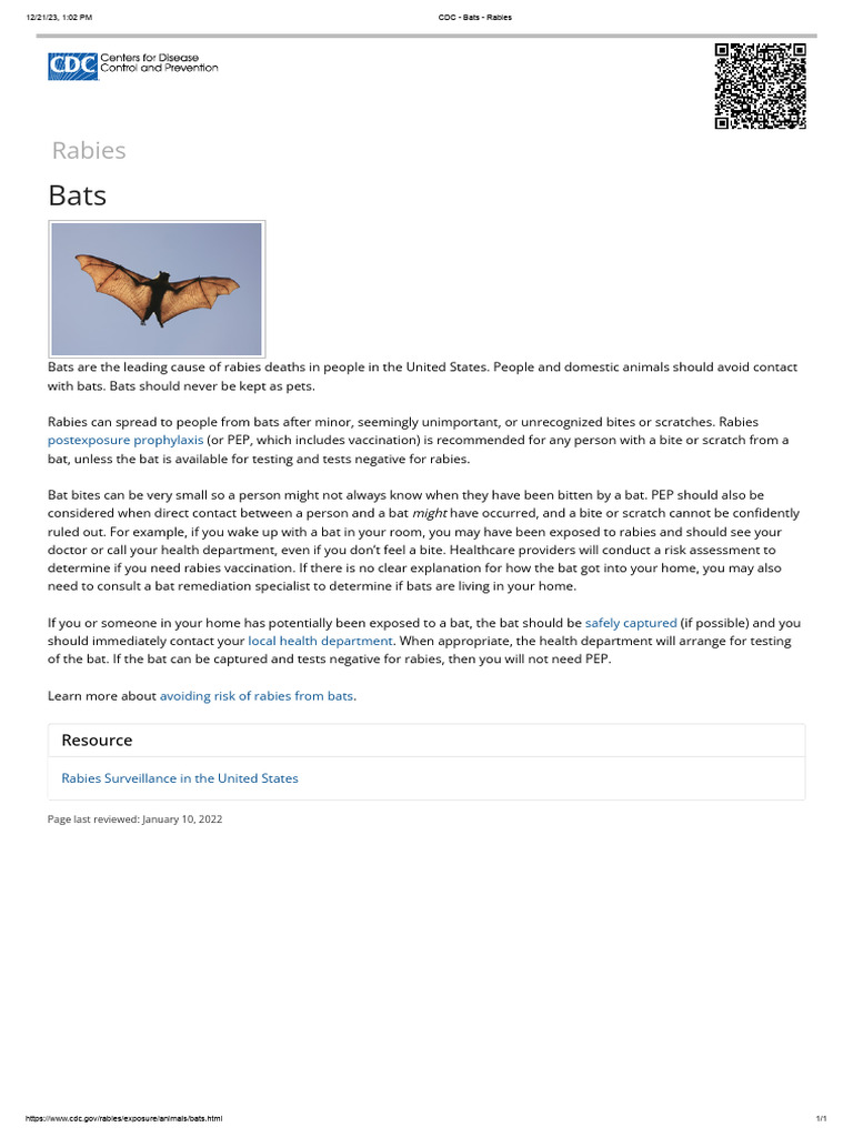 CDC - Bats - Rabies | PDF