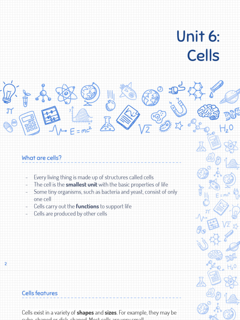Cells | PDF