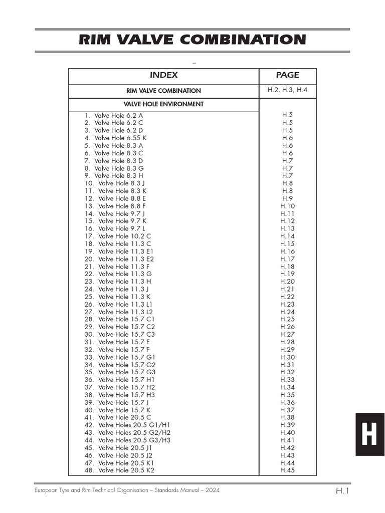Etrto SM 2024 Index Rim Valve Combination | PDF
