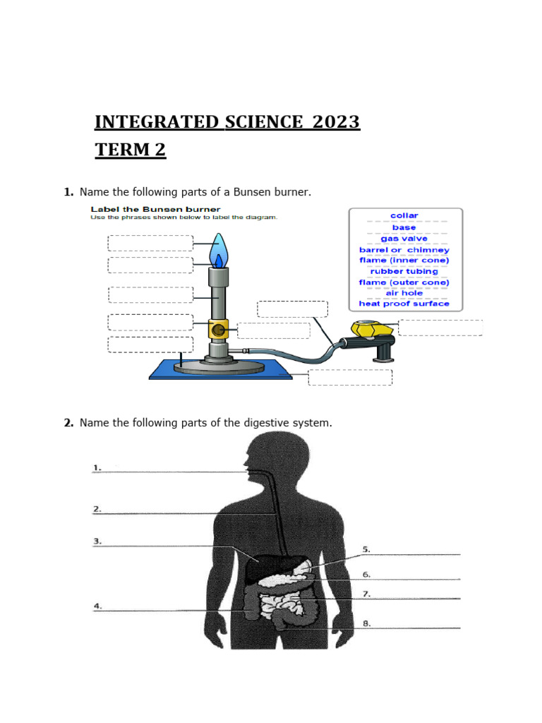 GRADE 7 INT-SCI enovate | Download Free PDF | Chemical Compounds | Chemical Substances