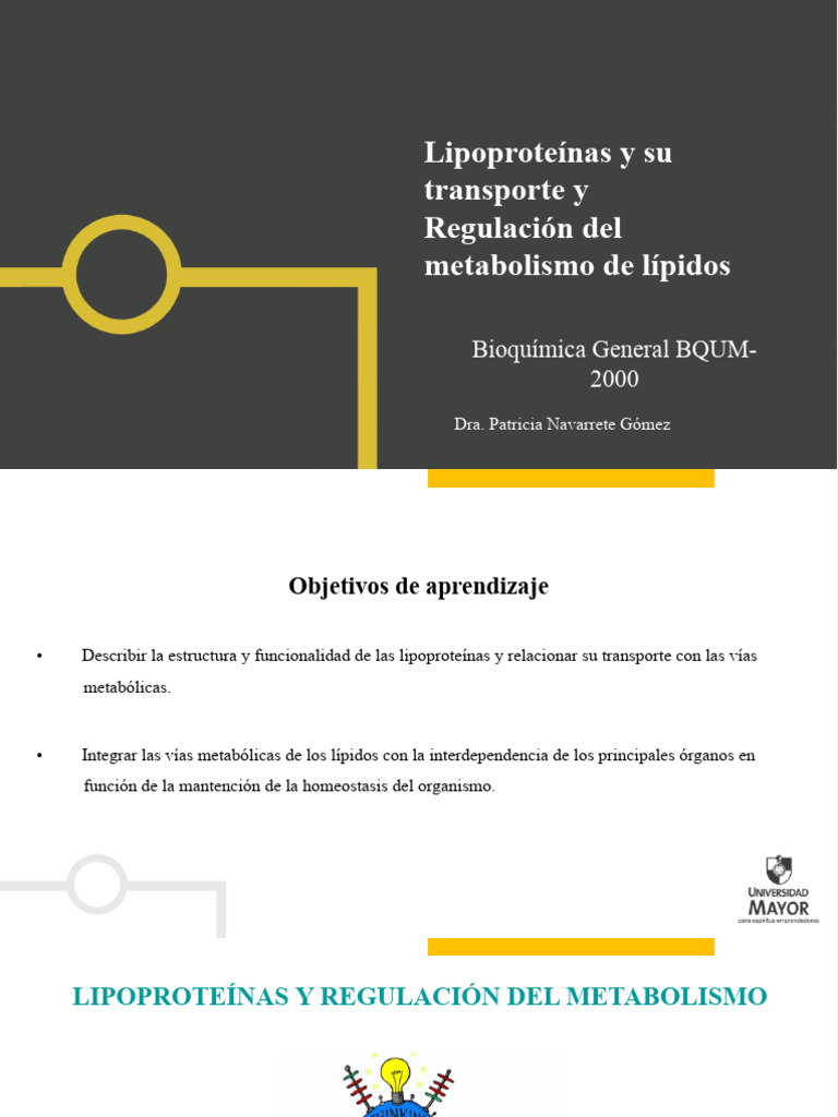 CLASE LIPOPROTEÍNAS Y REGULACIÓN METABOLISMO LÍPIDOS | PDF | Lipoproteína | Lípido