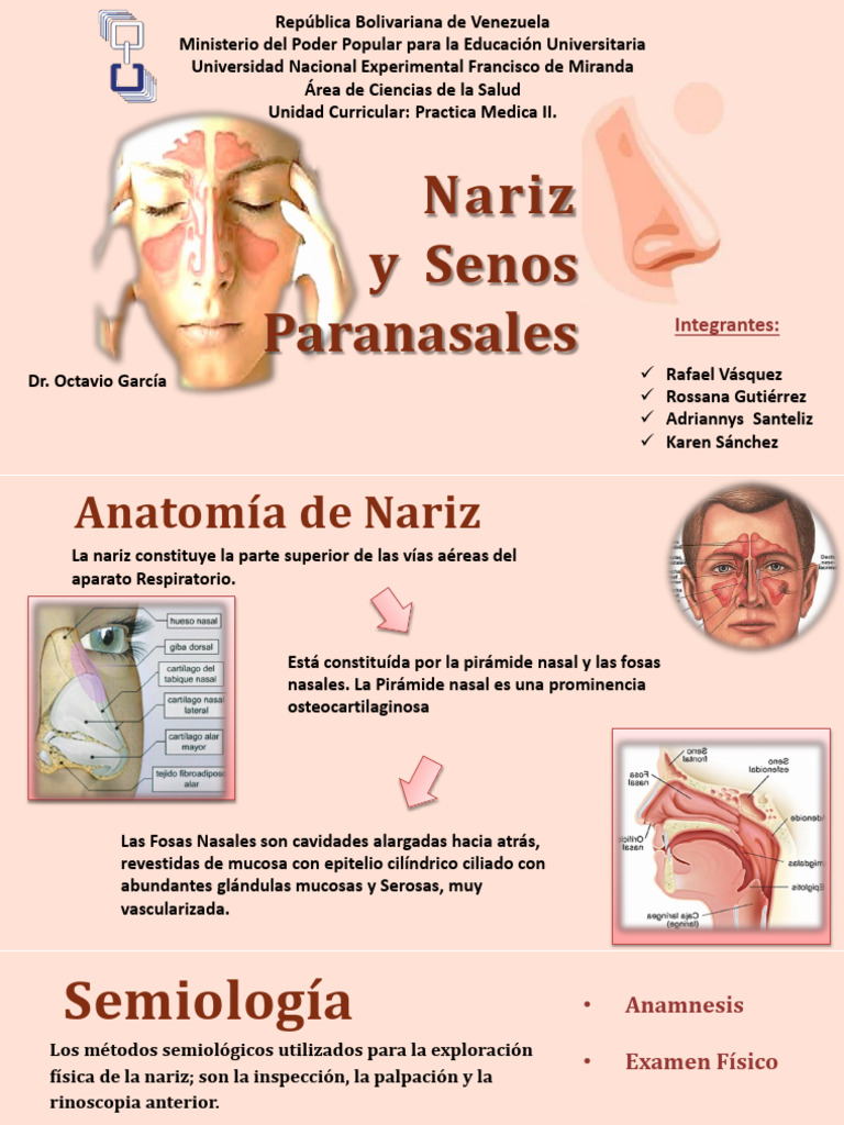 Seminario 2 Nariz y Senos Paranasales | PDF | Alergia | Otorrinolaringología