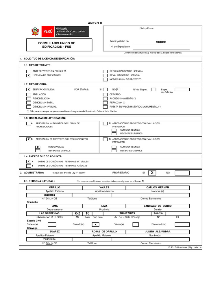 Modelo Llenado Fue | PDF | Documento de identidad | Propiedad