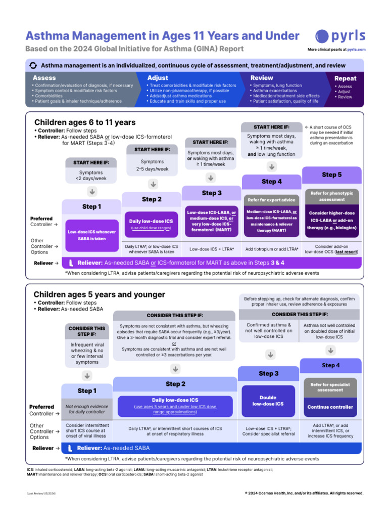 Pyrls 2024 Asthma Management 12 | PDF | Asthma | Causes Of Death