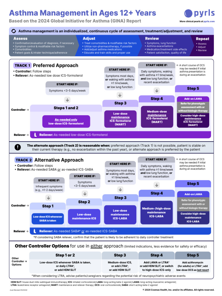 Pyrls 2024 Asthma Management | PDF | Asthma | Health Sciences