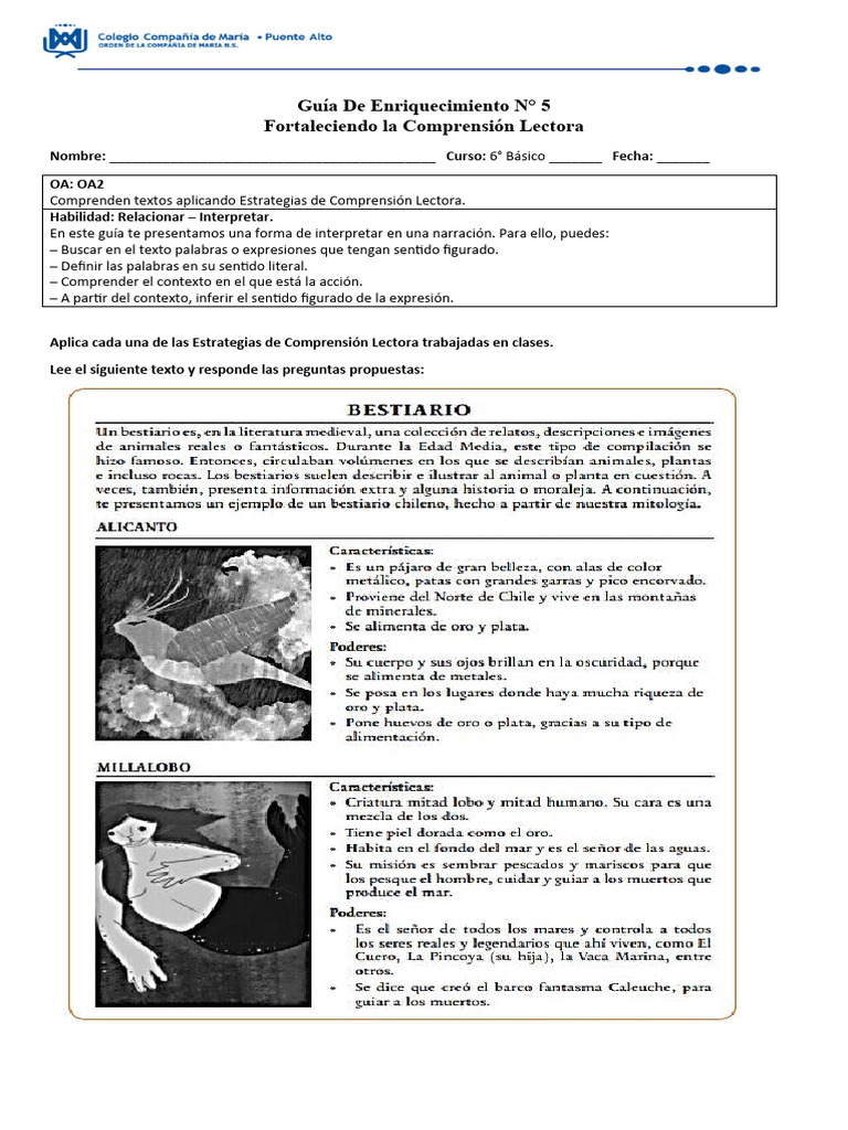 Guía de Enriquecimiento N° 5 (6° básico) | PDF