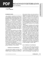 Características de Protocordados | PDF | Anatomia animal | Zoología