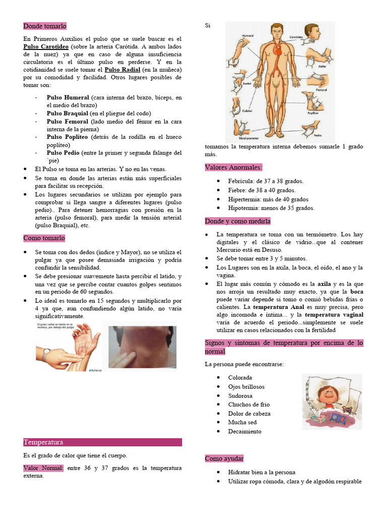 Primeros Auxilios | PDF | Legumbres | Reanimación cardiopulmonar