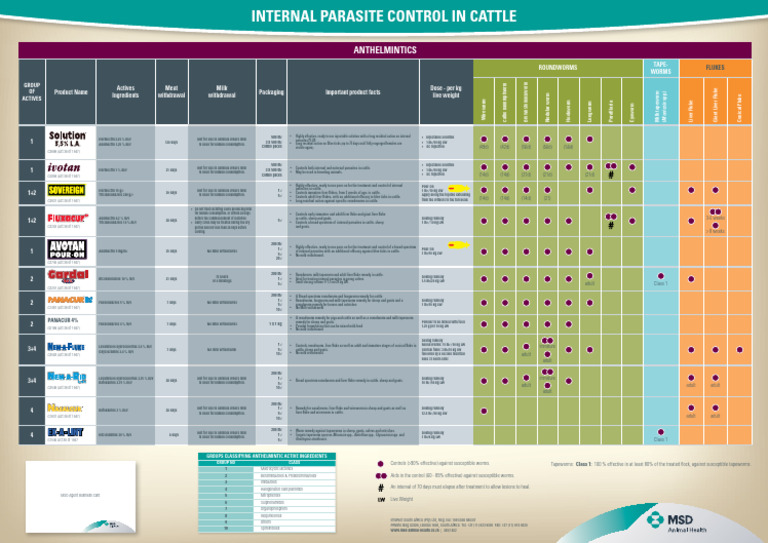 Cattle Dosing Chart LowRes tcm57-177006 | PDF | Cattle | Milk