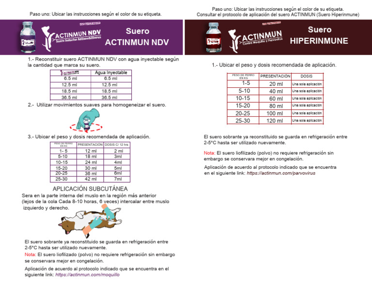 Instructivo FEBRERO 2024 - Actinmun-1 | PDF