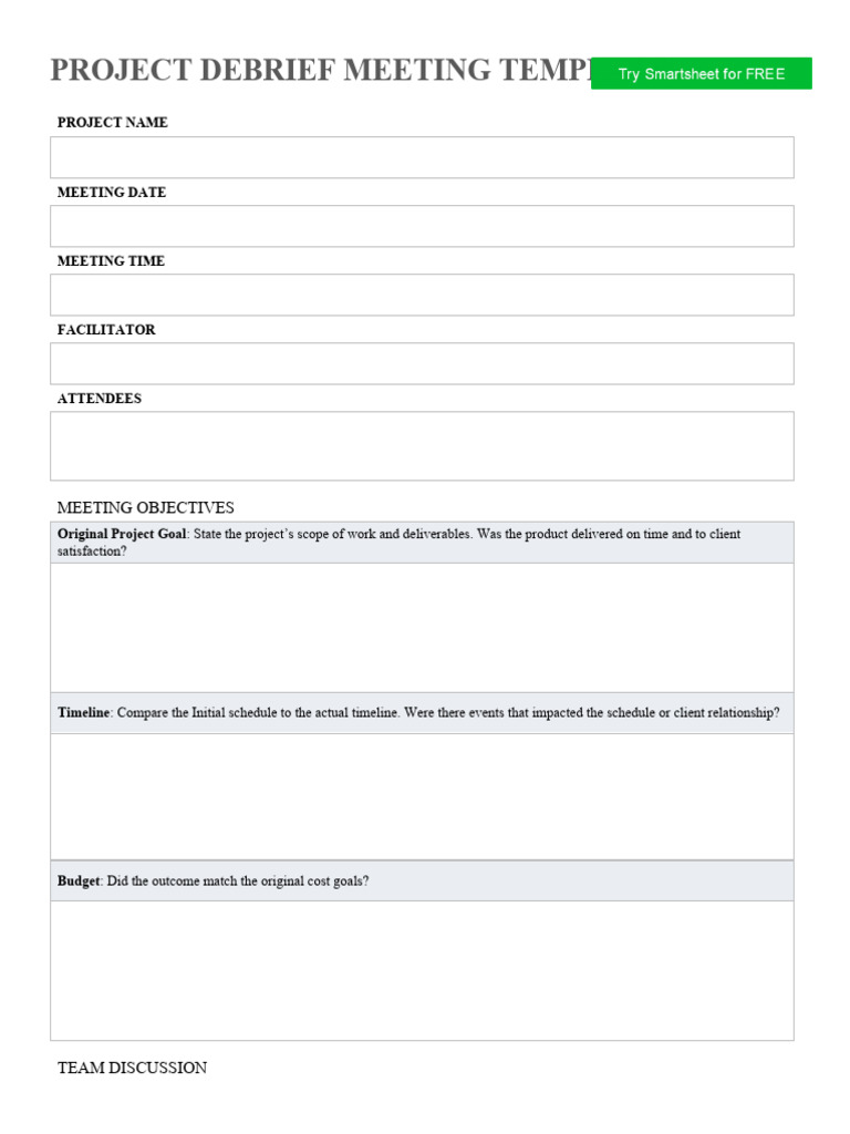 IC Project Debrief Meeting 11408 WORD | PDF