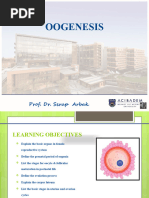 Oogenesis PPT-1 | PDF | Meiosis | Ovary
