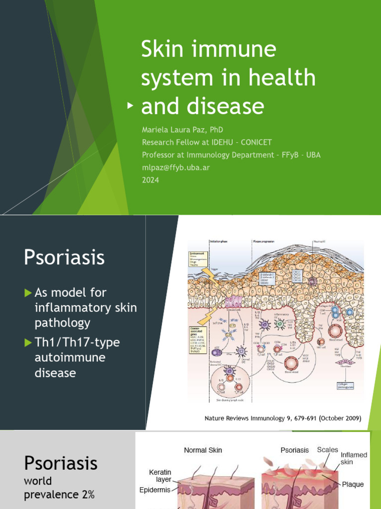 Skin Immune System in Health and Disease | PDF | Inflammation | Psoriasis