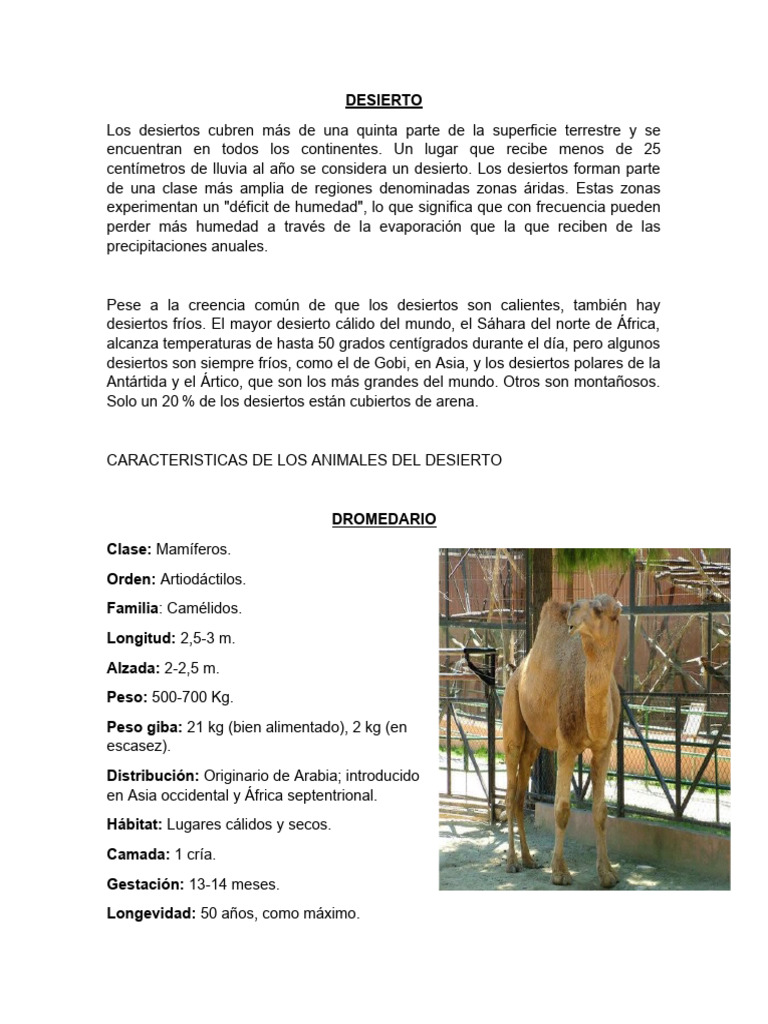 Animales Del Desierto Pdf Suricata Desierto
