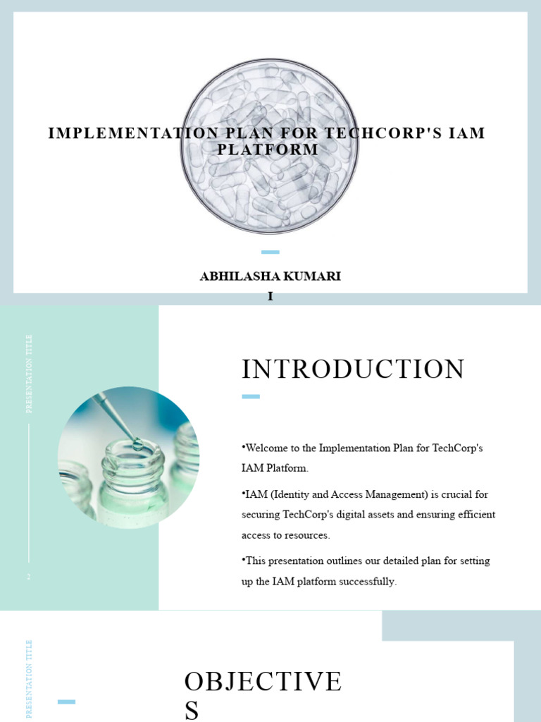 Implementation Plan For TechCorp S IAM Platform | PDF | Computer ...