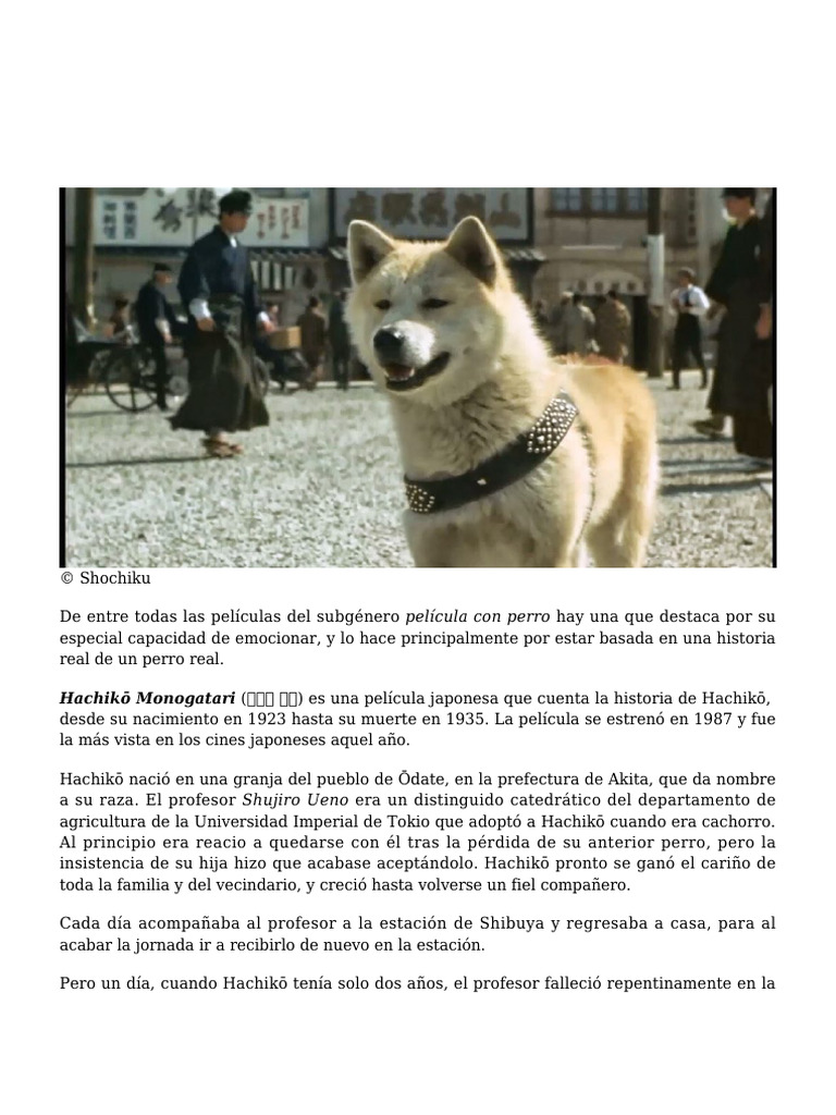 La Historia de Hachiko | PDF | Ficción general