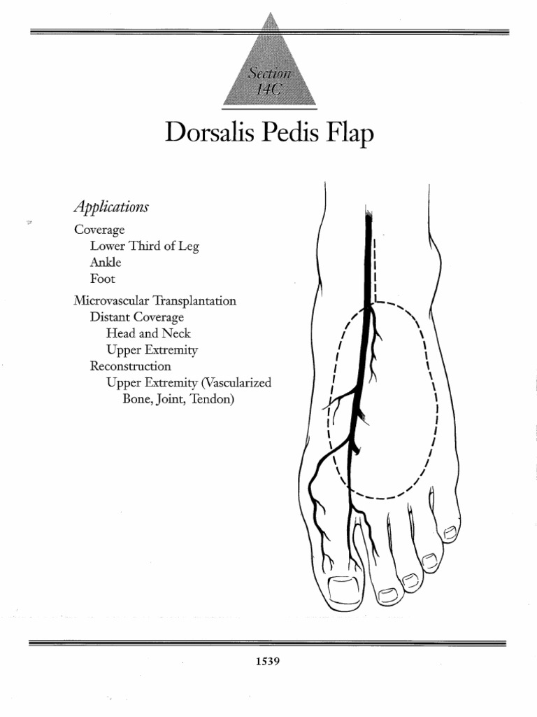 Mathes CH14 Dorsalis Pedis Flap | PDF