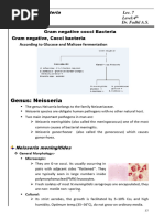 Gram Negative Cocci Flow Chart | PDF | Gram Negative Bacteria | Prokaryote