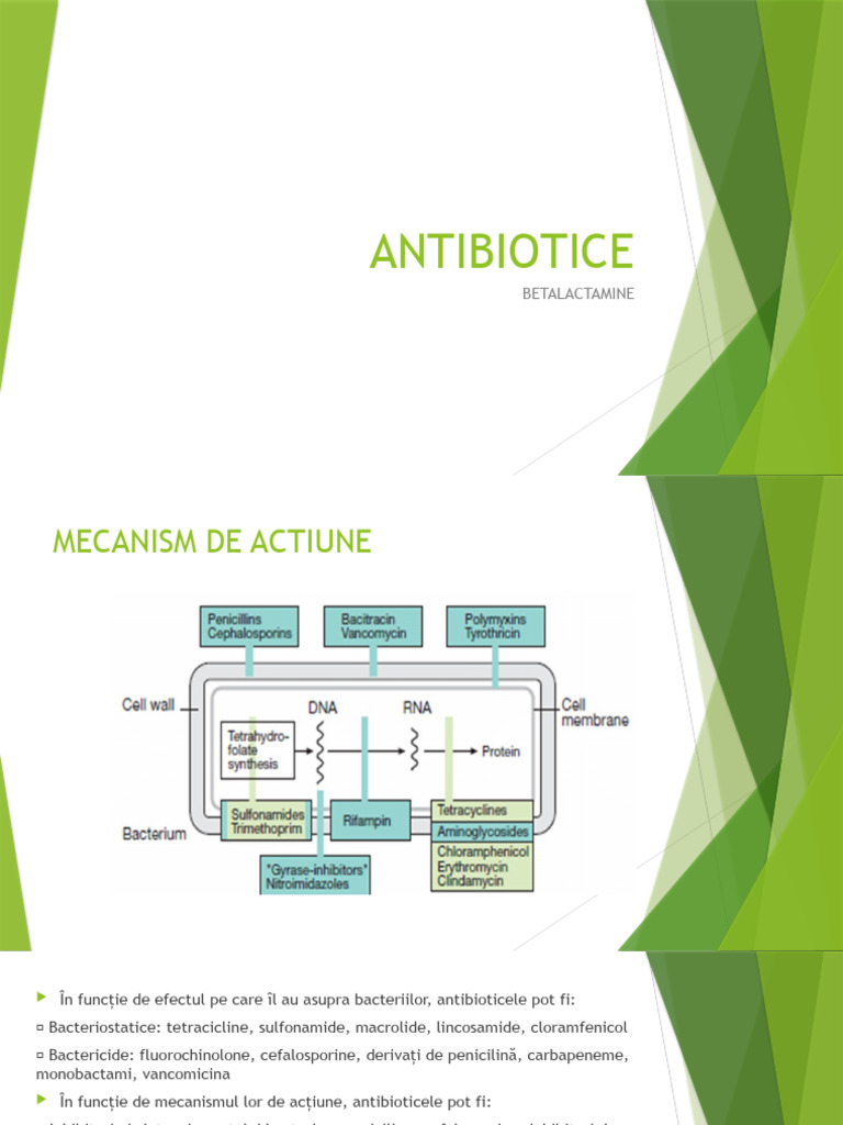 Antibiotic e | PDF
