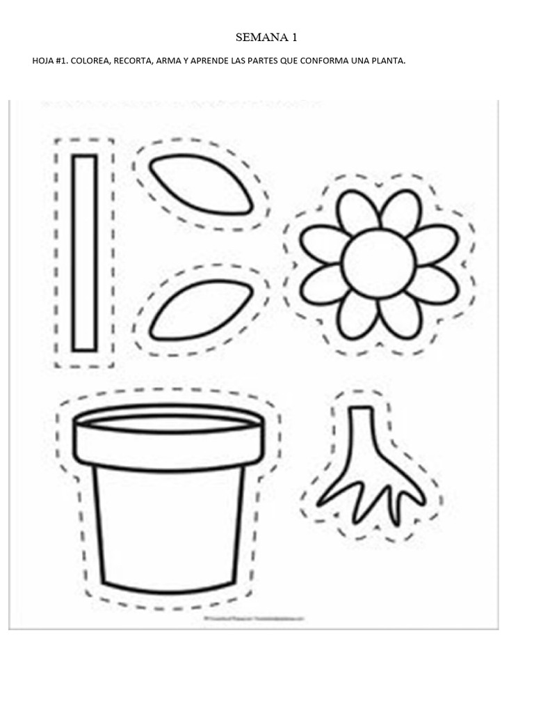 5 AÑOS HOJAS DE TRABAJO QUINTA UNIDAD | Descargar gratis PDF | Color ...