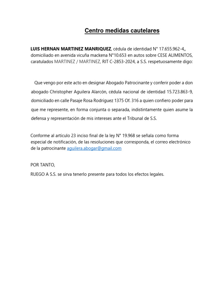 Patrocinio y Poder LUIS MARTINZ | PDF | Política