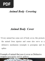 Animal Body Coverings Explained | PDF | Feather | Skin