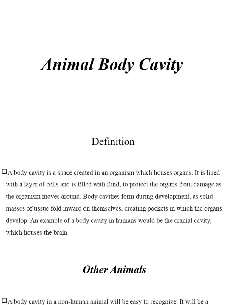 Animal Body Cavity | PDF | Anatomy | Biology