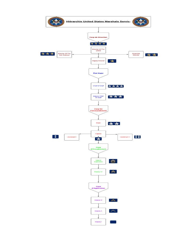 Hierarchie-USMS | PDF