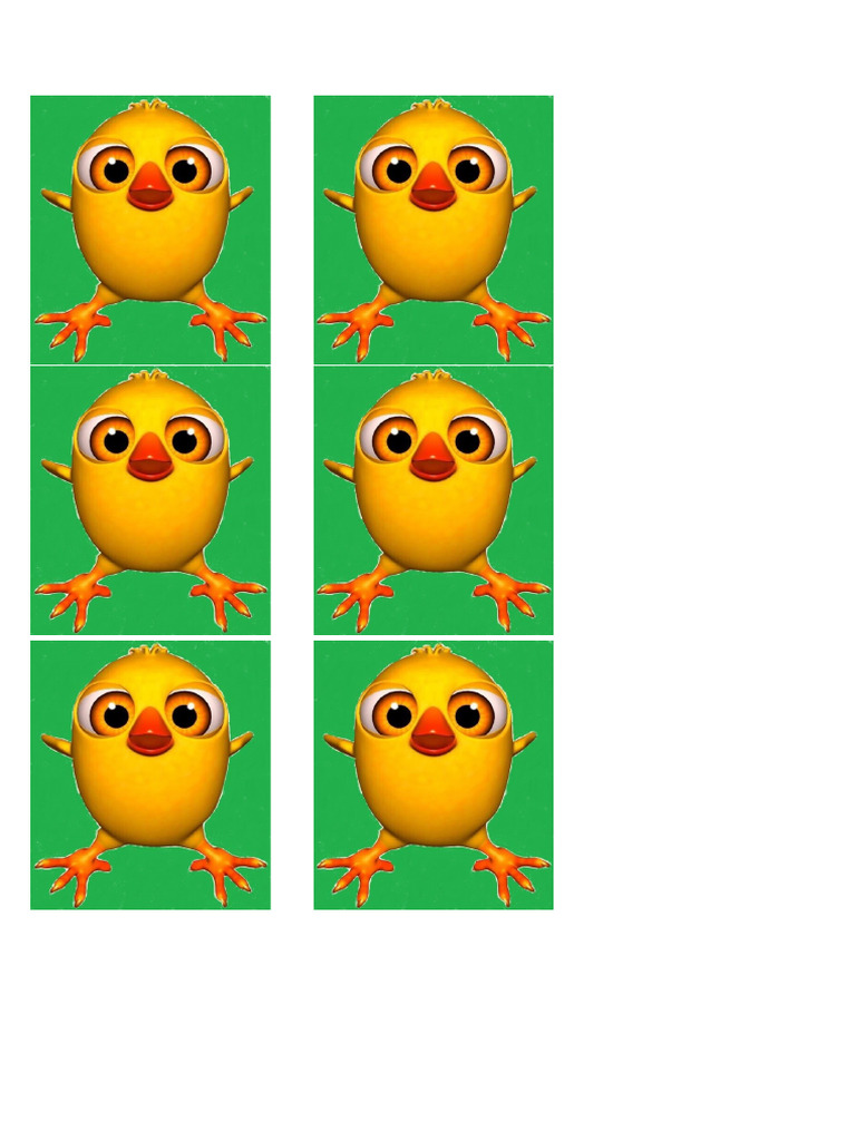 POLLITO | PDF