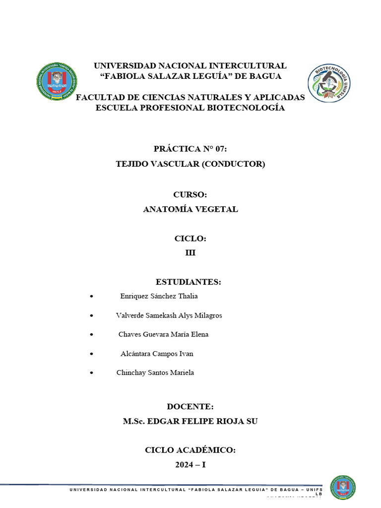 Anatomía del Tejido Vascular en Apio y Poro | PDF | Botánica | Plantas