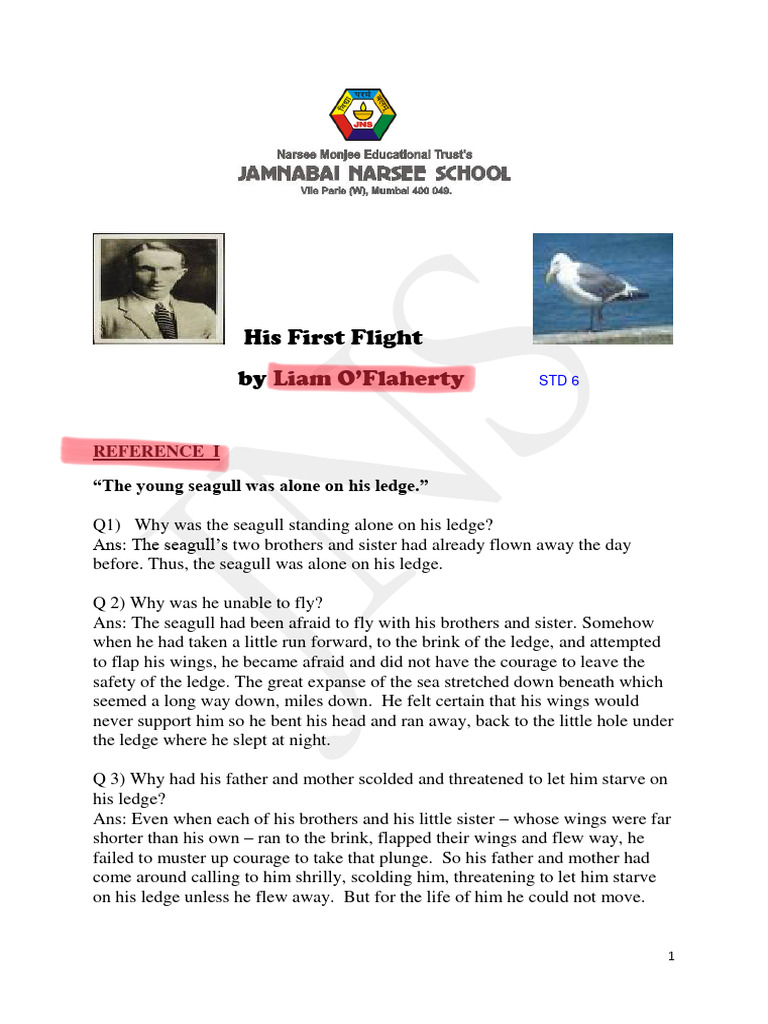 Seagull's First Flight Journey | PDF | Ornithology | Birds