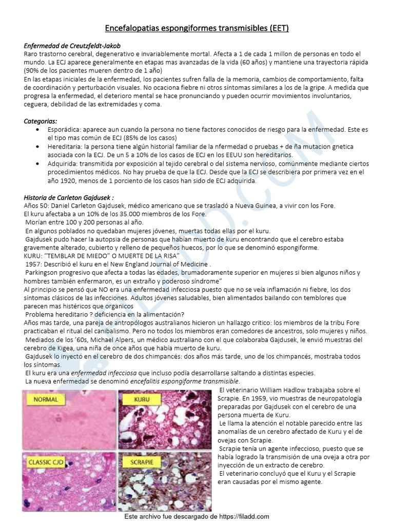 16 Eet | PDF | Enfermedades y trastornos humanos | Biología