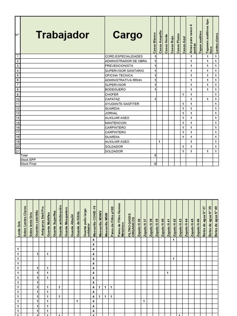 Formato Control de EPP | PDF
