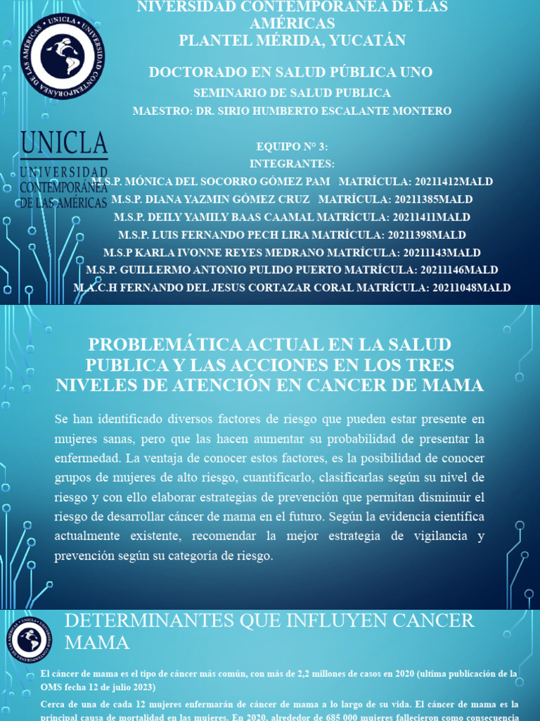 Tres Niveles Ca Mama 1 Pdf Cáncer Cáncer De Mama