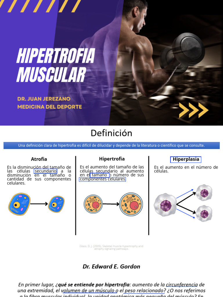 Hipertrofia INAFF 6 de Mayo | PDF | Ácido láctico | Metabolismo