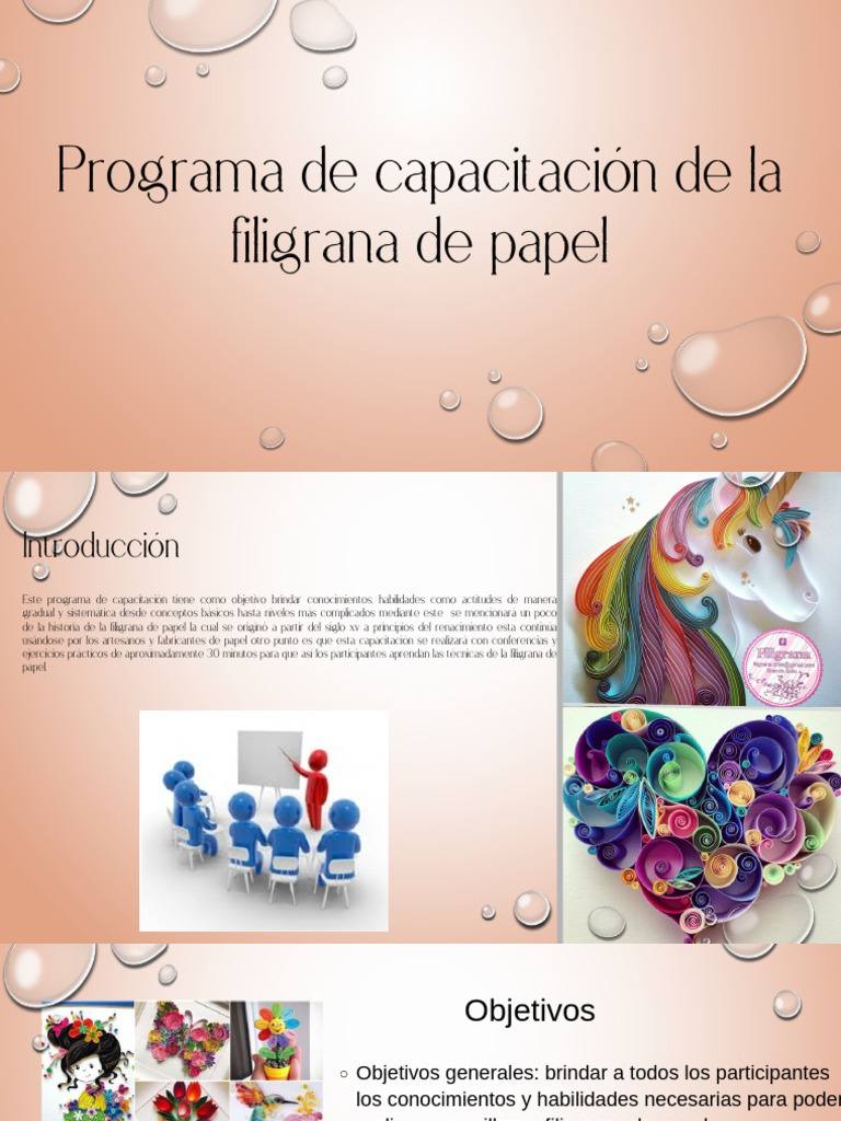 Presentación Del Programa de Capasitacion - PPTX 20240610 103956 0000.Pptx 20240628 141059 0000 ...