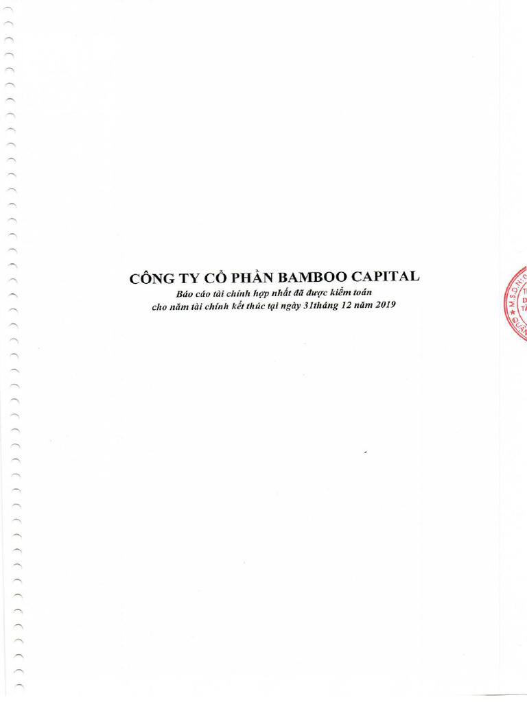 BCG 19CN BCTC HNKT | PDF