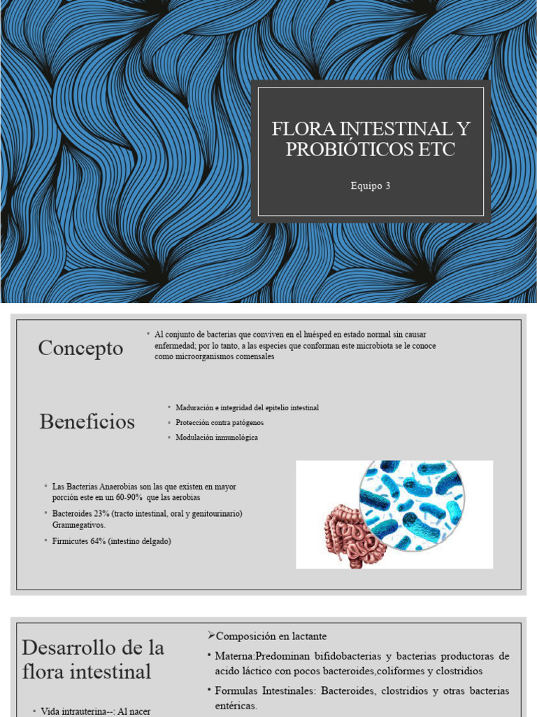 Flora Intestinal y Probióticos Etc | PDF | Probiótico | Especialidades ...