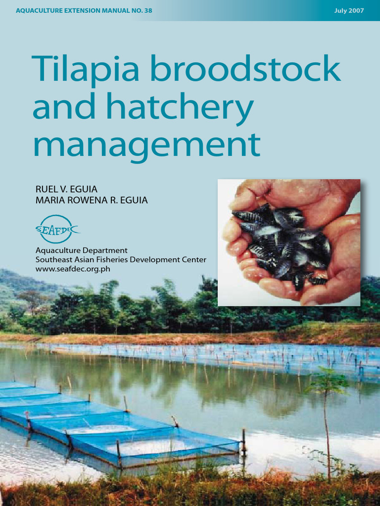 Tilapia Broodstock and Hatchery Management | PDF | Spawn (Biology)
