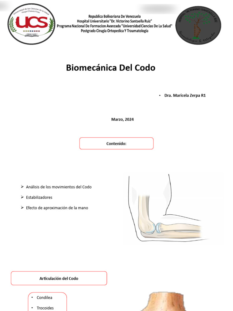 Codo | PDF | Codo | Sistema musculoesquelético