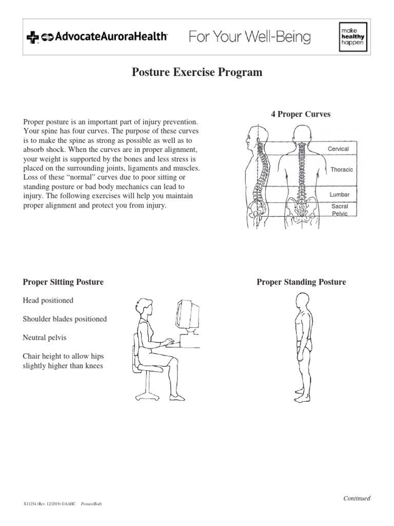 Posture Exercise Program Guide | PDF | Pelvis | Vertebral Column