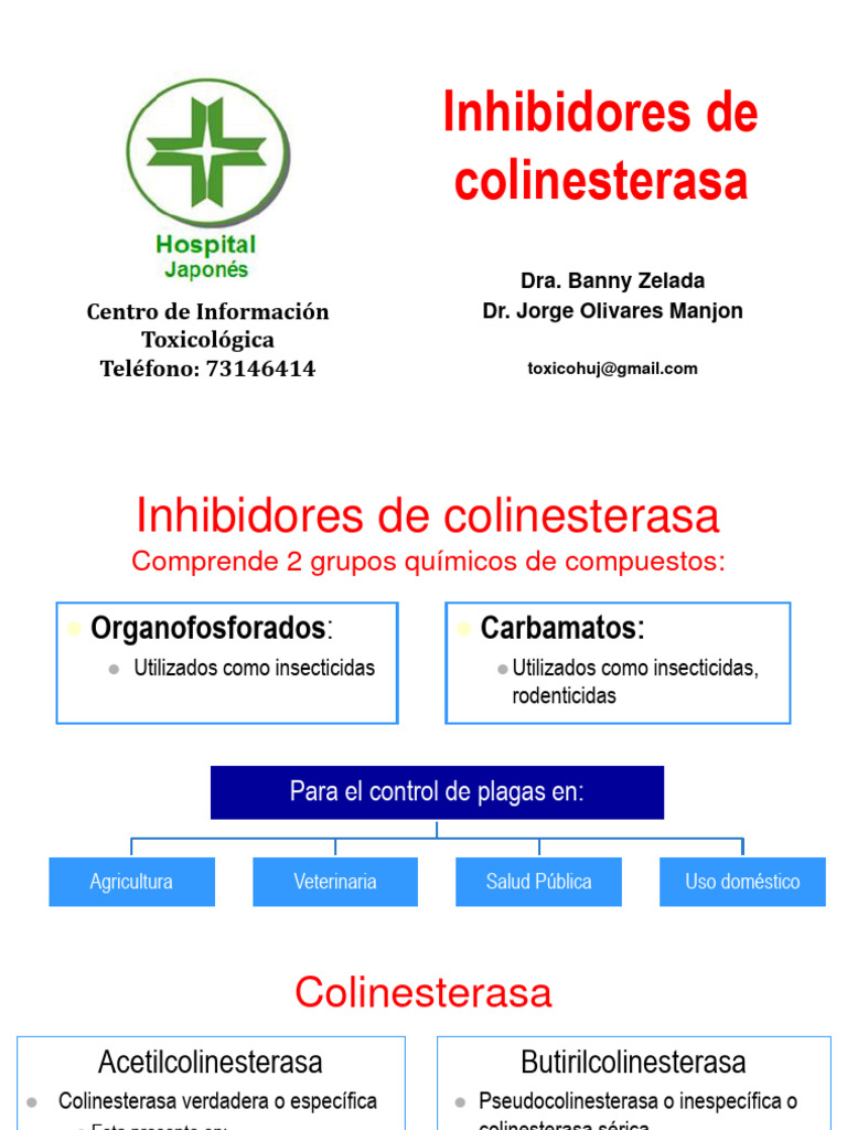 Inhibidores de Colinesterasa | PDF | Acetilcolina | Unión neuromuscular