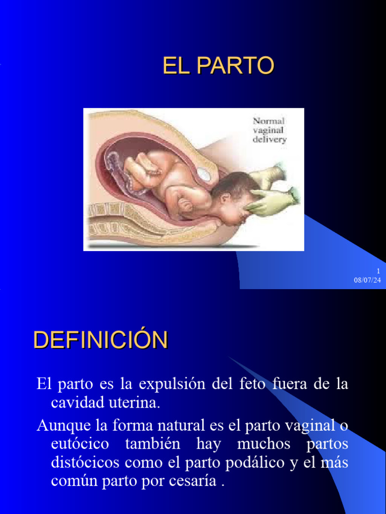 Proceso y Fases del Parto | PDF | Parto | Placenta