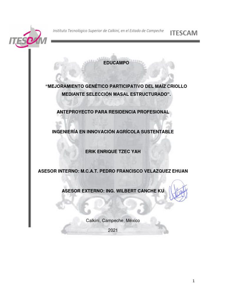 1er Reporte Preliminar Erik Tzec - 6304 | PDF | Maíz | Siembra