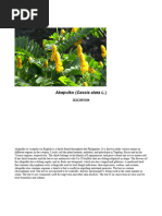 Cacana: Medicinal Uses in Mozambique | PDF