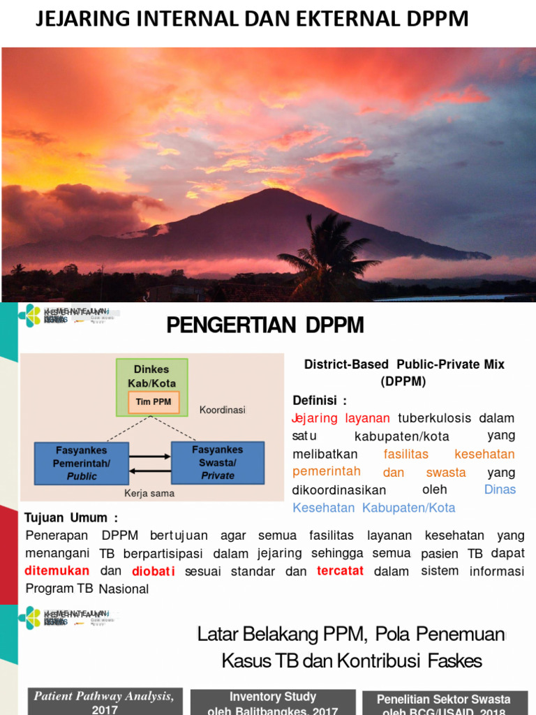 Jejaring Internal Dan Eksternal DPPM EDIT | PDF